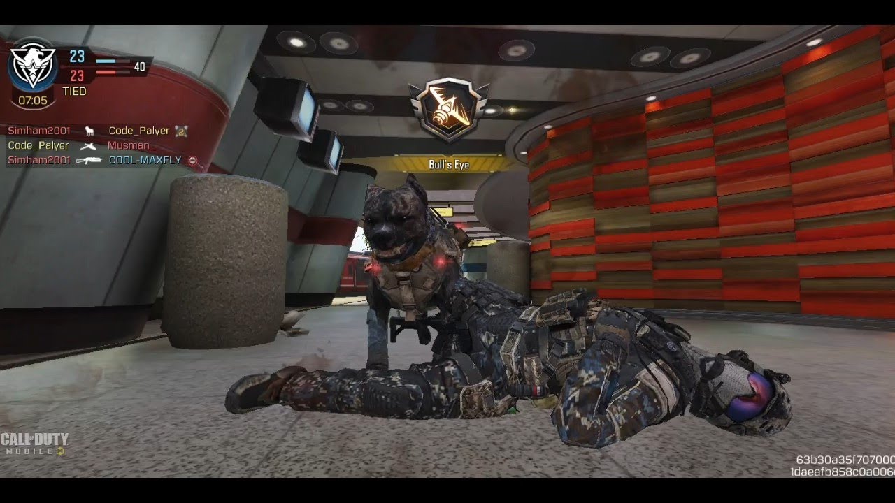 Dog kill - Call of duty Warzone Frontline Crossfire [5s Vs 5s] (81 ...