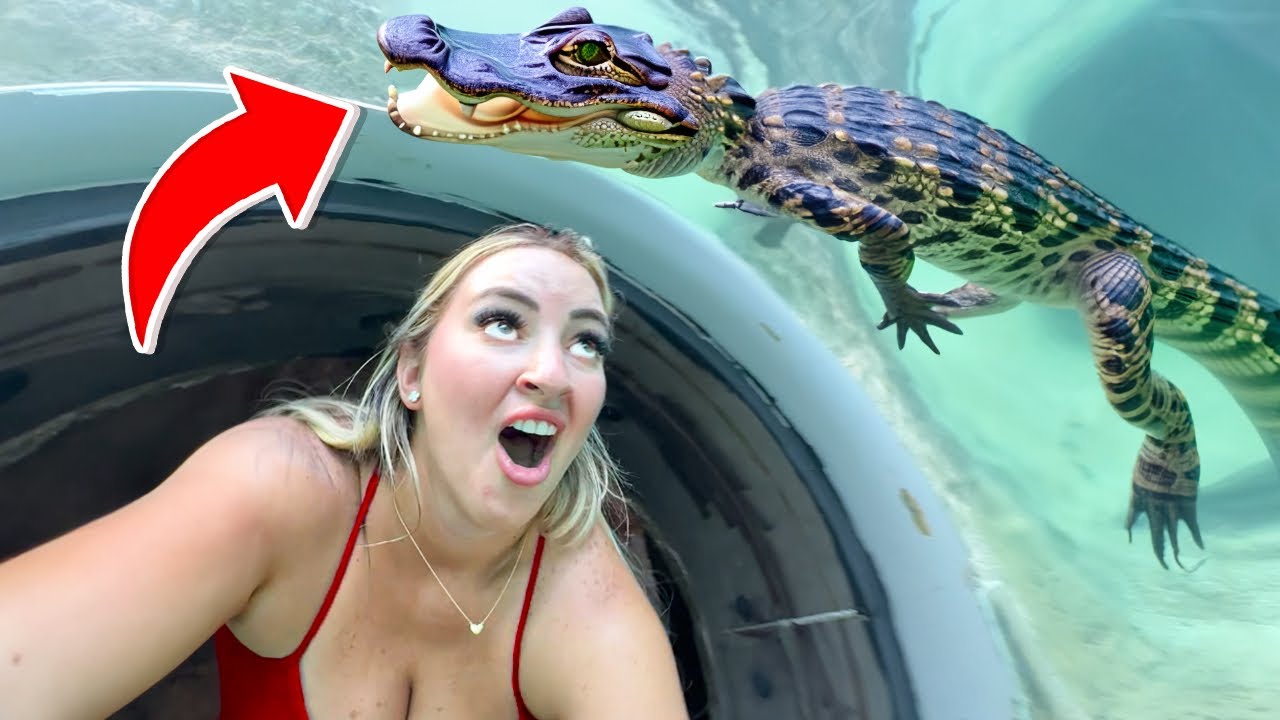 Giant CROCODILE Almost ATTACKED Me... - YouTube