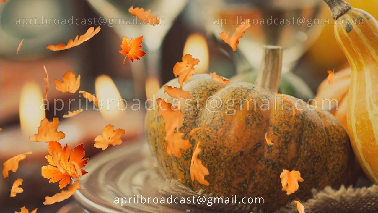 Thanksgiving Set 18 - Virtual Green Screen Background Loop - YouTube