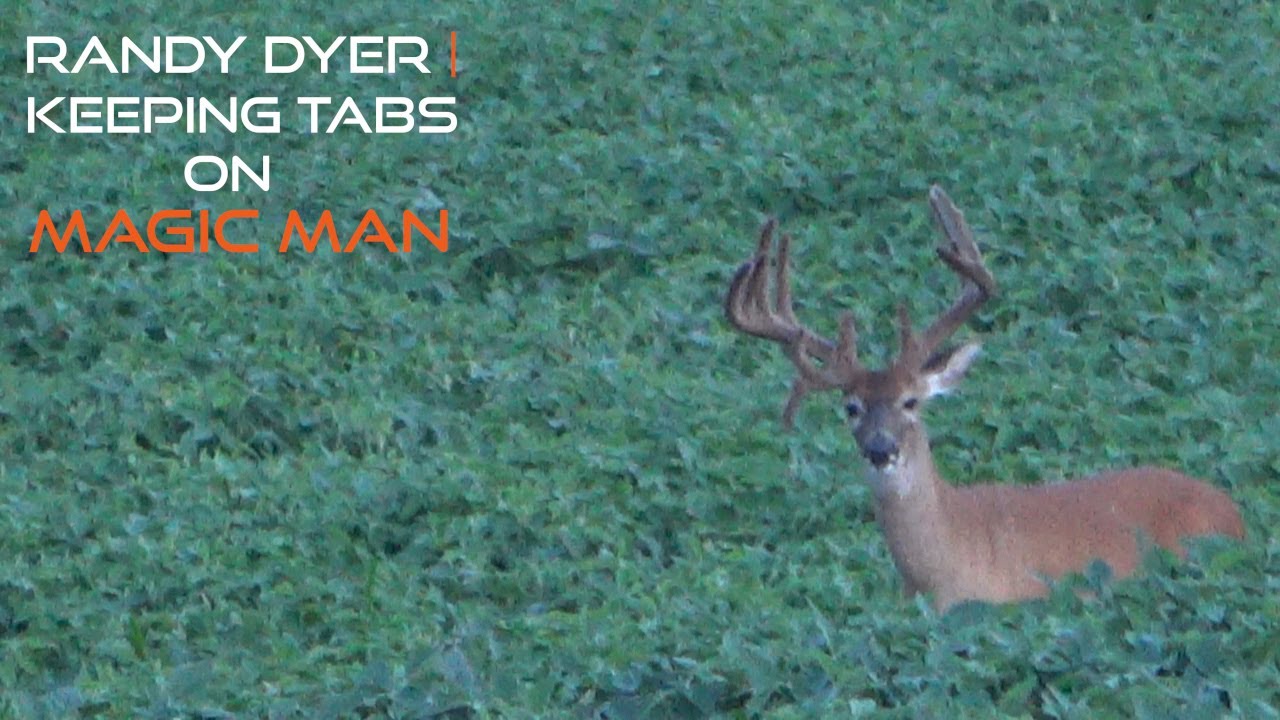 Randy's Keeping Tabs On Magic Man - YouTube