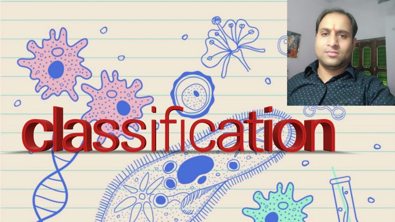 Classification - YouTube
