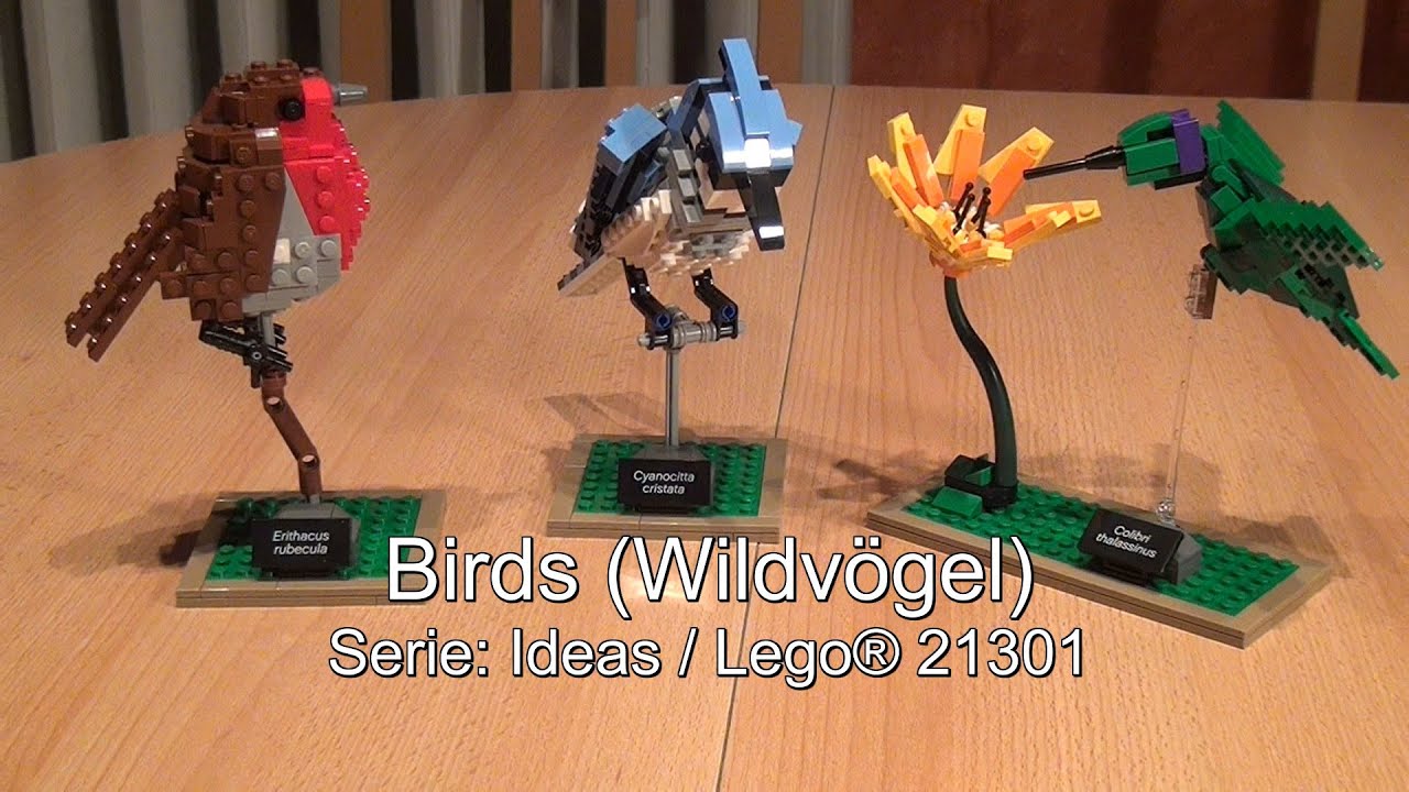 Test LEGO Birds - Wildvögel (Ideas Set 21301 im Review) - YouTube