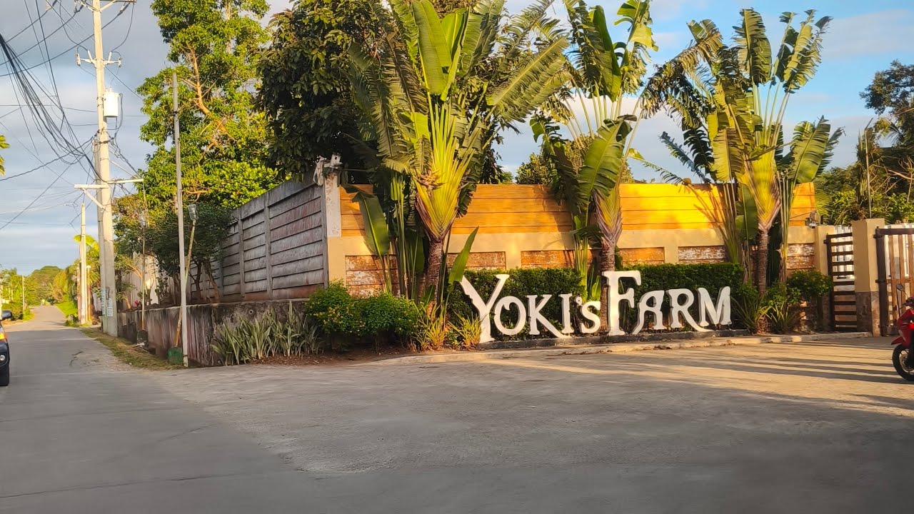 YOKI'S FARM TAGAYTAY - YouTube