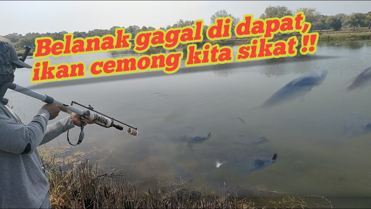 PASER IKAN ‼️ ikan belanak gagal di dapat ikan cemong kita sikat - YouTube