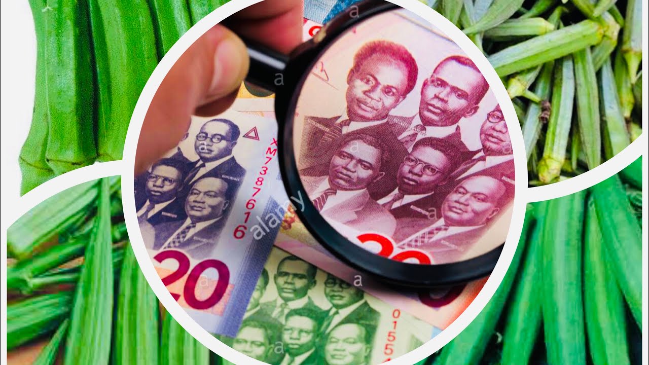 How to Make Ghc 20,000($ 3481.29) from an Acre of Okra Farm - YouTube