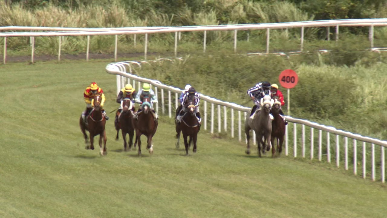 Course 2 PRIX DES ACACIAS 28/06/20 - YouTube