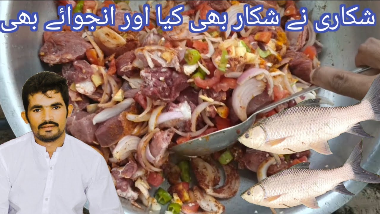 Dabra Machhali Ka Shikar | Dabra fish hunting - YouTube