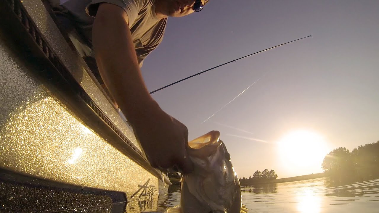 Perfect Pond Plus (pt. 3 of 4) - YouTube