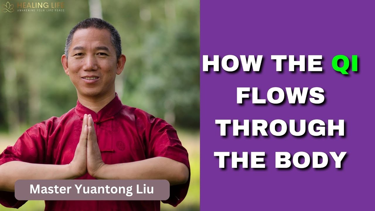 How QI Flows Through The Body - Master Yuantong Liu - YouTube