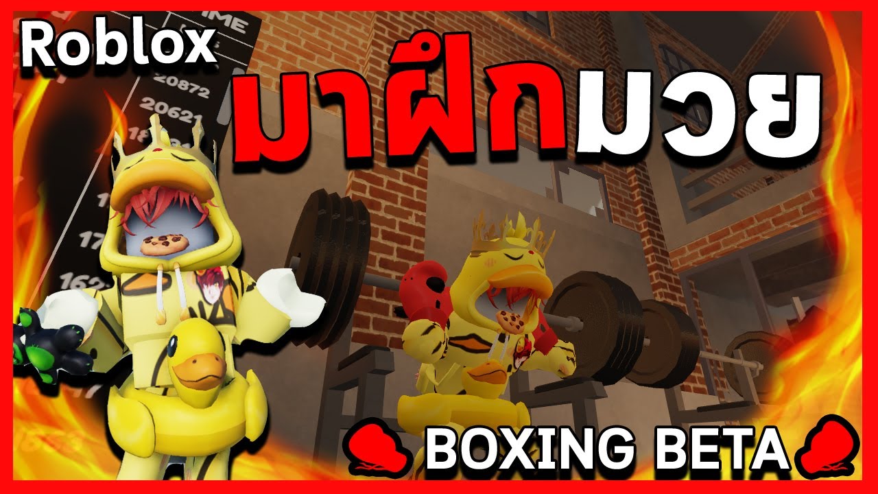 Roblox Boxing Beta มาซ้อมมวยวันแรกก็โดน 🥊🥊🥊 Youtube