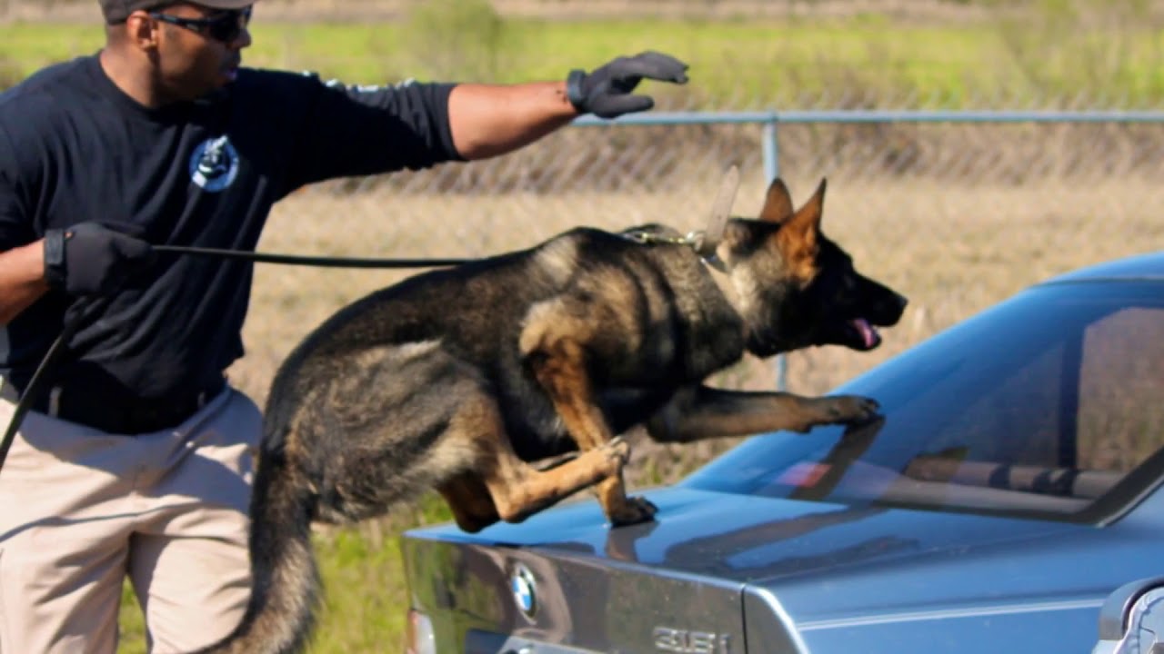 US K9 Promo Video 2013 - YouTube