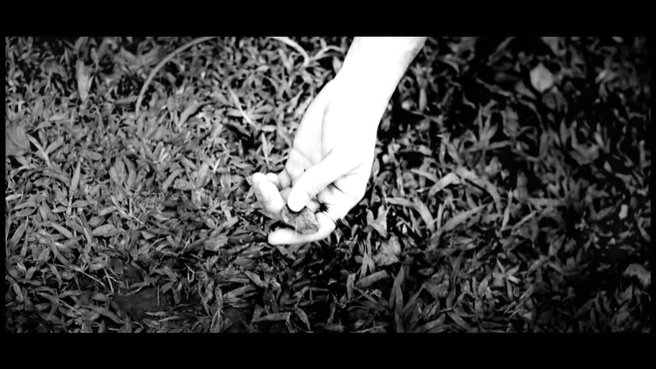 TID Jem Carstairs || Sorry that I loved you - YouTube