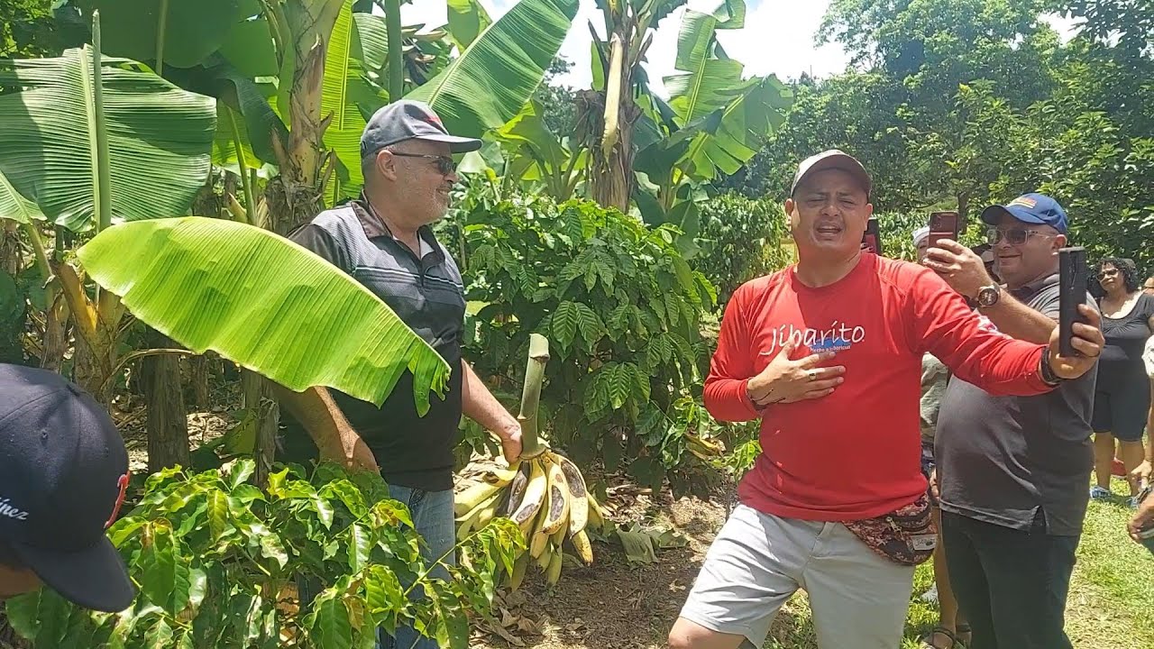 Capitulo 2: :Finca Mi Diana,. - YouTube