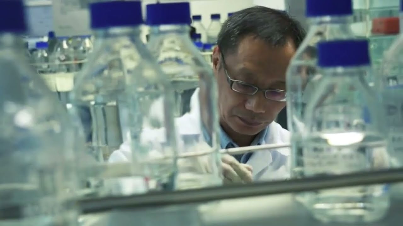 Temasek Rice in Tapestry: The Heart of ASEAN | CNA 2018 - YouTube