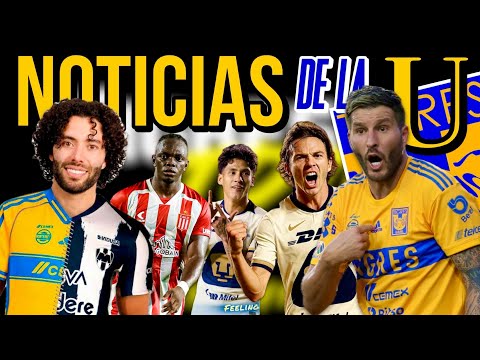 Gignac RENUEVA | Chino Huerta y Edwin a Tigres | SALEN Córdova y Antuna a Pumas | Lesión Rómulo 🚨🔥