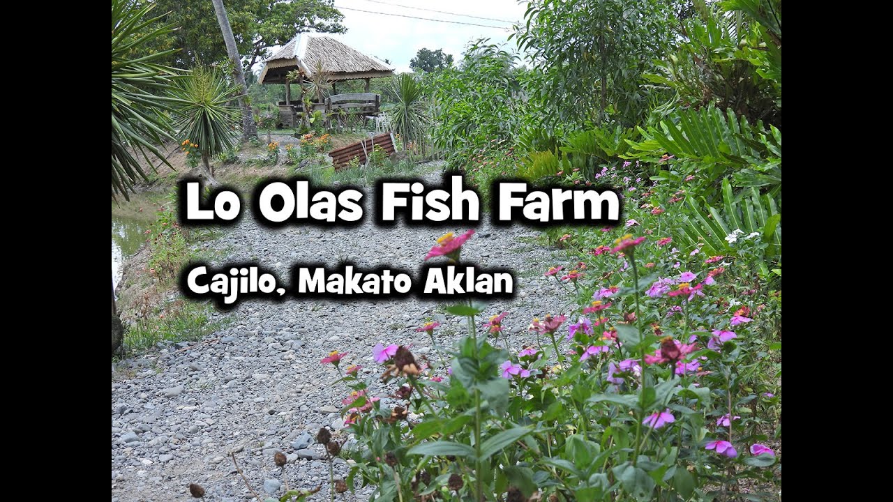 MAKATO AKLAN Poblacion and LO OLAS FISH FARM. - YouTube