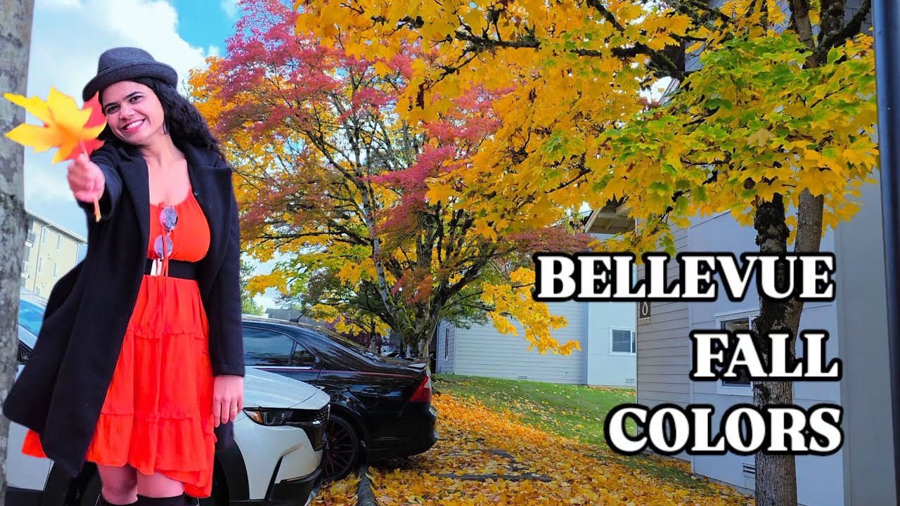 Bellevue Fall Colors 🍁 | Stunning Autumn Views in Washington ...