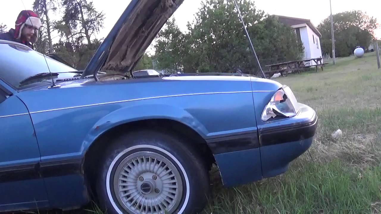 Mustang half year coldstart - YouTube