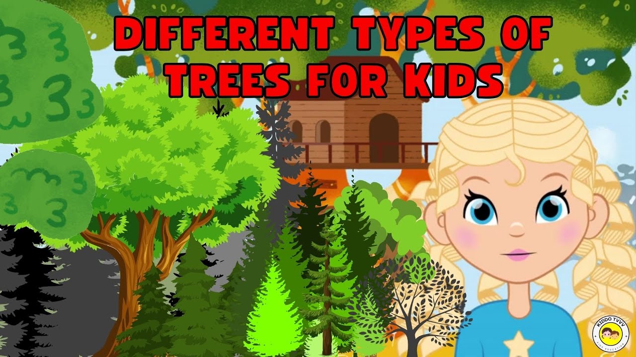 Different Types Of Trees | Different Types Of Trees Names In English ...