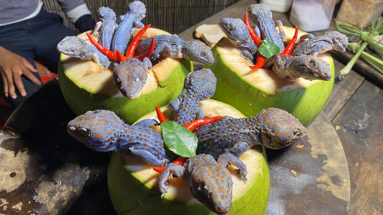 Wow! Find Gecko To Cooking Energy Food Steam Gecko With Coconut - YouTube