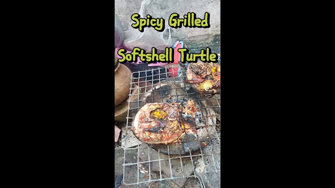 Spicy Grilled Softshell Turtle - YouTube