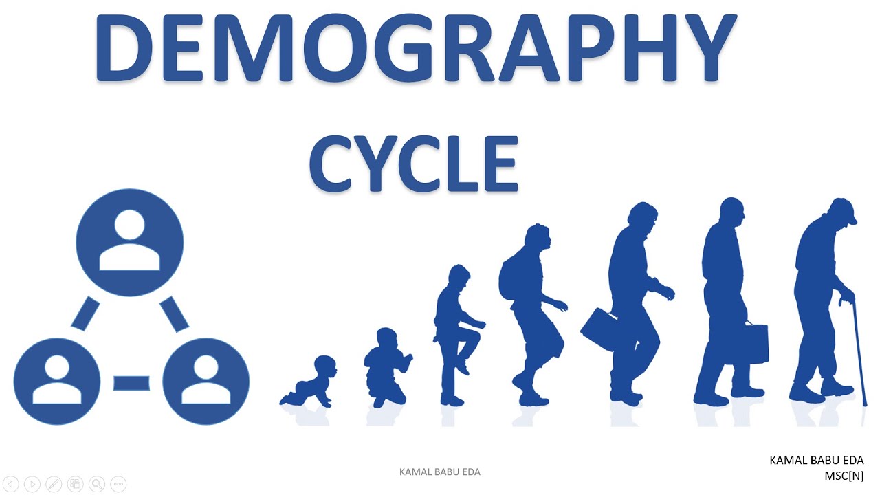 DEMOGRAPHY CYCLE - YouTube