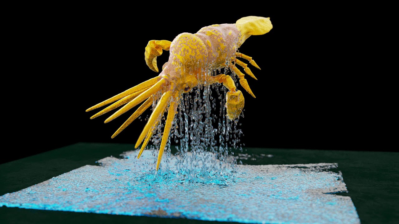 Houdini FLIP test and Squab - YouTube