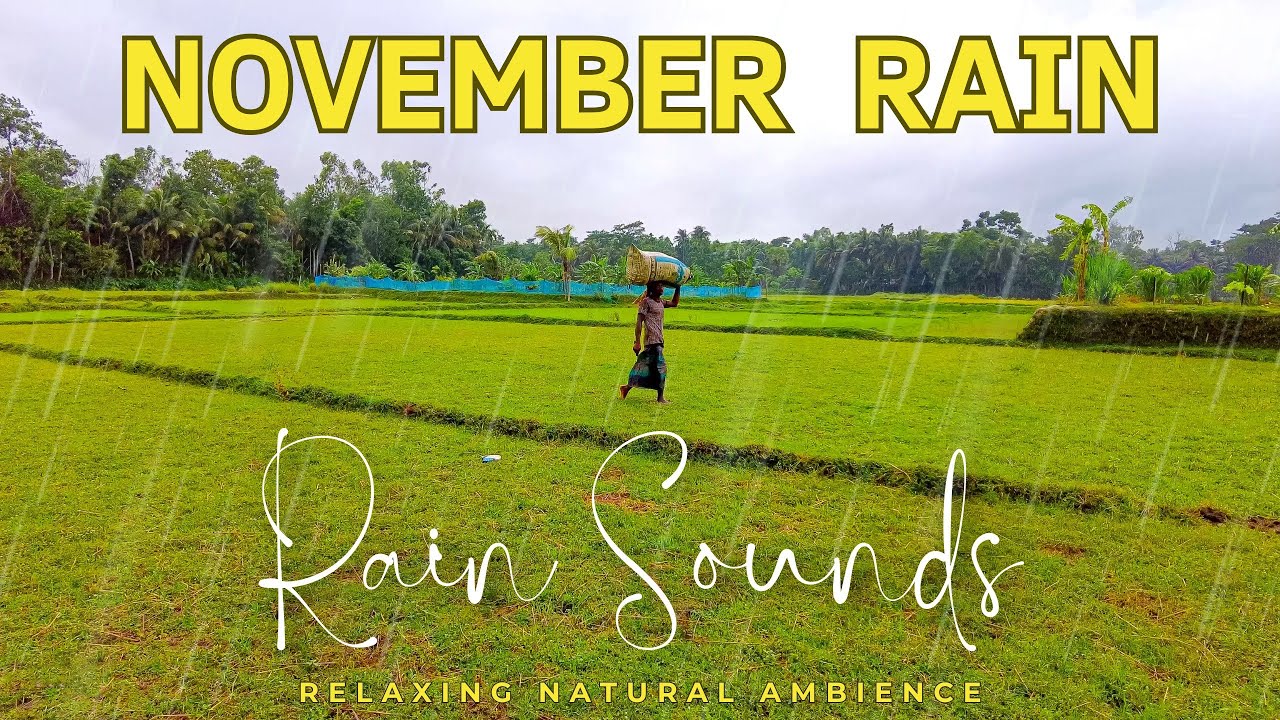 November Rain | Relaxing Rain Sound | Village Rain | Natural Ambience ...