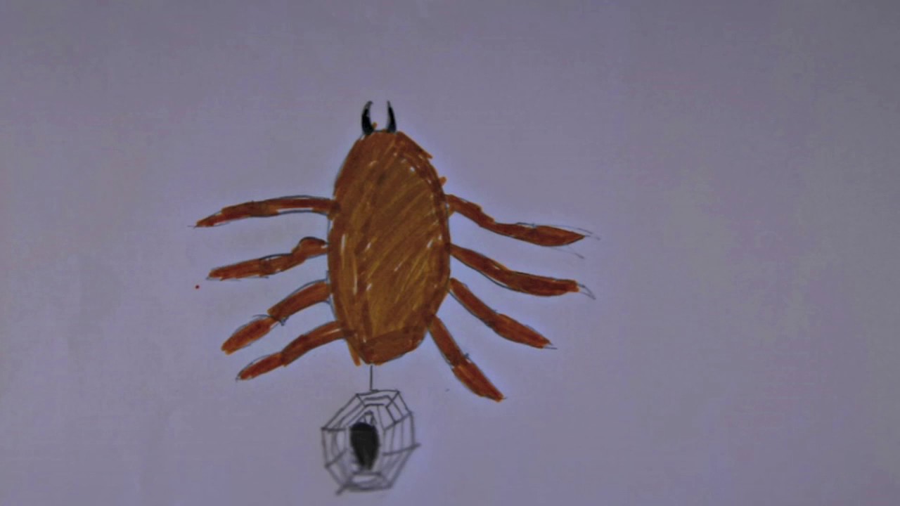 Ten Legged Fleas Drawing