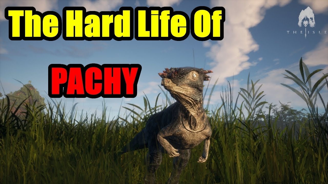 Growing A Pachy Is Rough | The Isle EVRIMA - YouTube