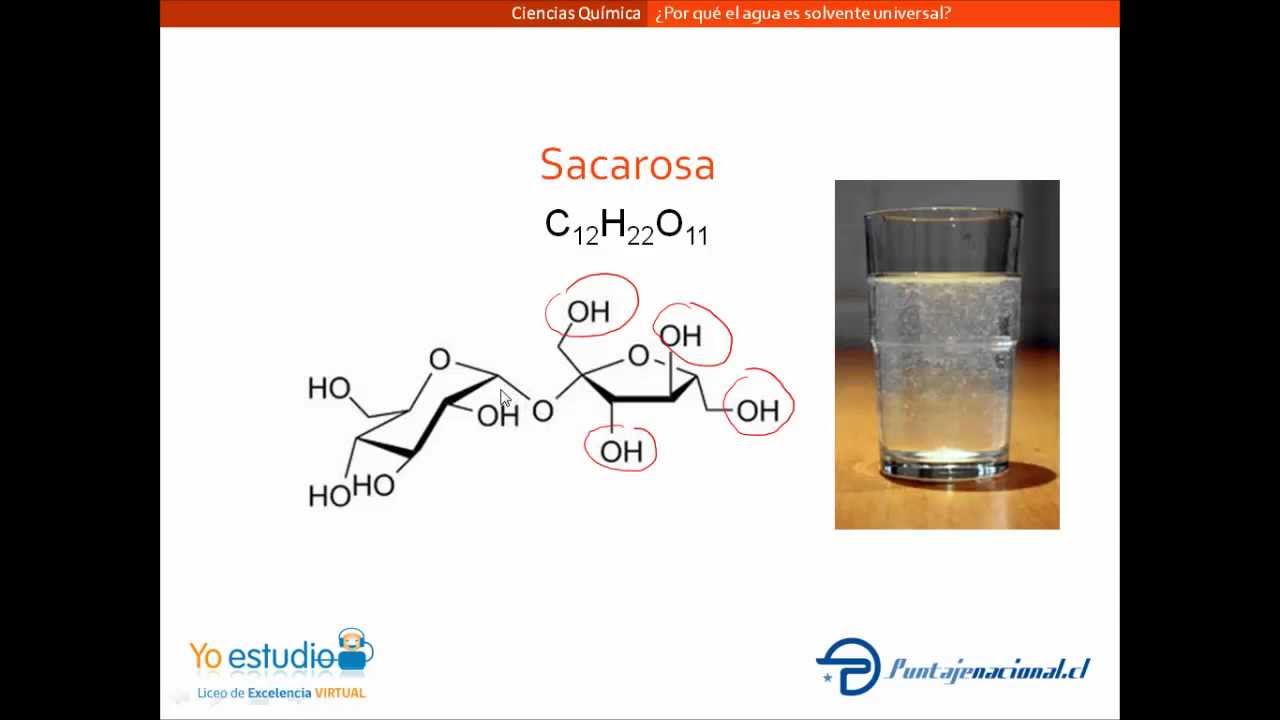 ¿Por qué el agua es el solvente universal? - YouTube