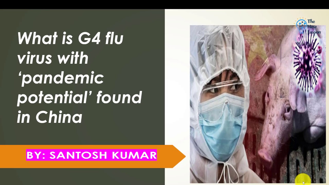 What is G4 flu virus with ‘pandemic potential’ found in China? - YouTube