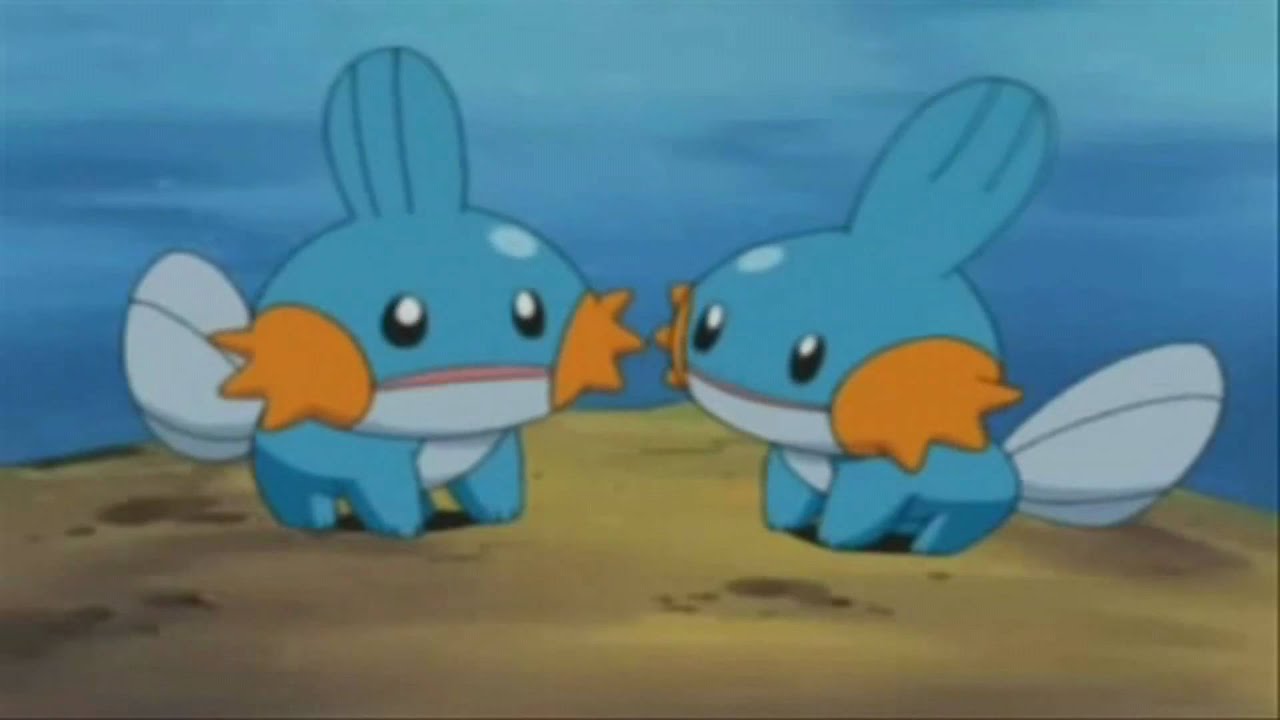 Know What Mudkip's saying? - YouTube