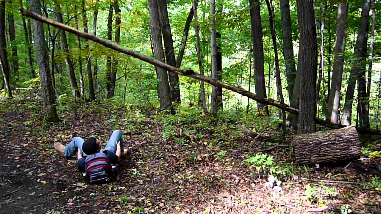 Tree catapult? - YouTube