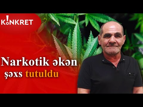 Həyətində narkotik əkən şəxs saxlanıldı - Konkret TV