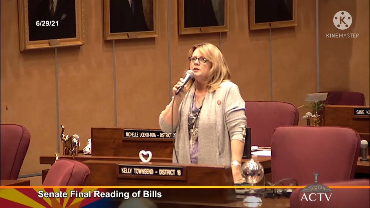 Ugenti-Rita kills Townsend's election security measures for revenge ...