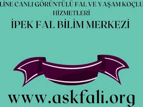 Alaplı Falcı Alaplı Falcılar Alaplı En İyi Fal