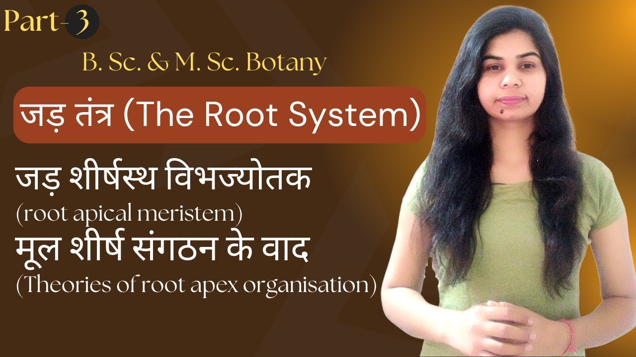 Root apical meristem || Theories of root apex organisation || B. Sc ...