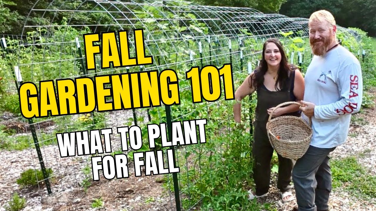 Fall Gardening 101: Turn Your FAIL Garden Into a FALL Garden (What to ...