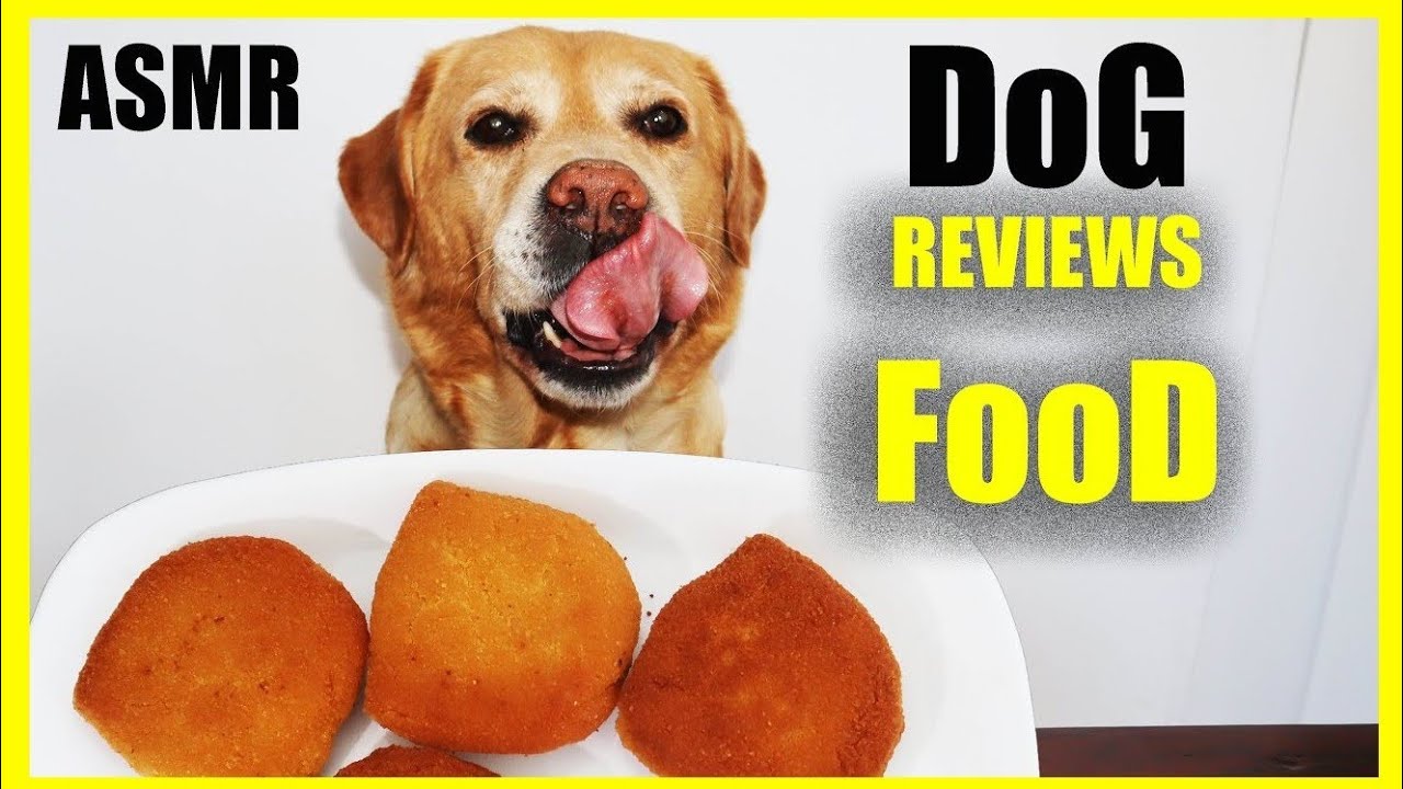 Dog reviews FOOD cordon BLEU - ASMR Eating ( No Talking) EATING SOUNDS ...