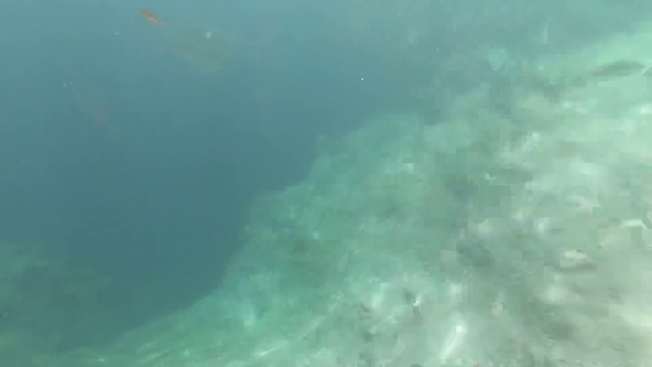 The Hospital Hole - YouTube