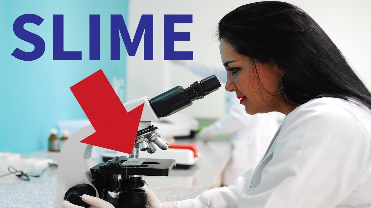 Slime La Microscop - (Slime Under Microscope) - YouTube