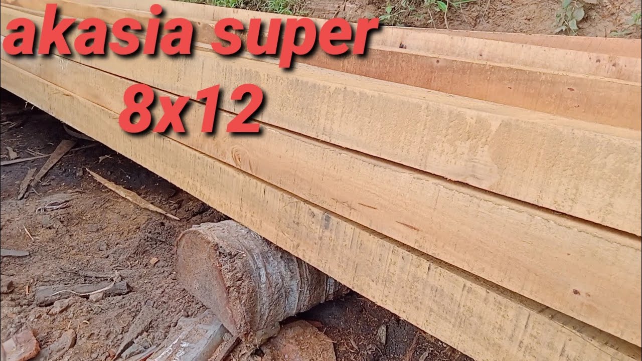 proses ukuran 8x12 kayu akasia - YouTube