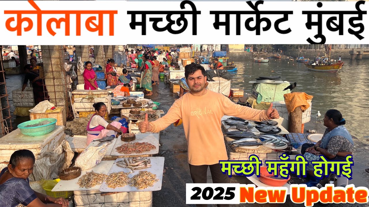 Sassoon Dock fish Mumbai Colaba 2025||Colaba fish market in Mumbai ...