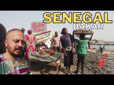 Senegal 🇸🇳 Dakar inanilmaz Balık pazarı. Deniz ve Doğa katlediliyor, her yer Çöp! (Senegal gezi)
