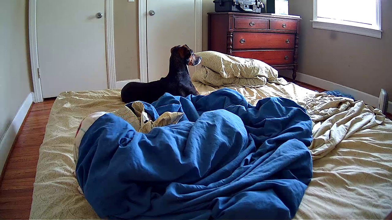 climbing through the window in my own house! - YouTube