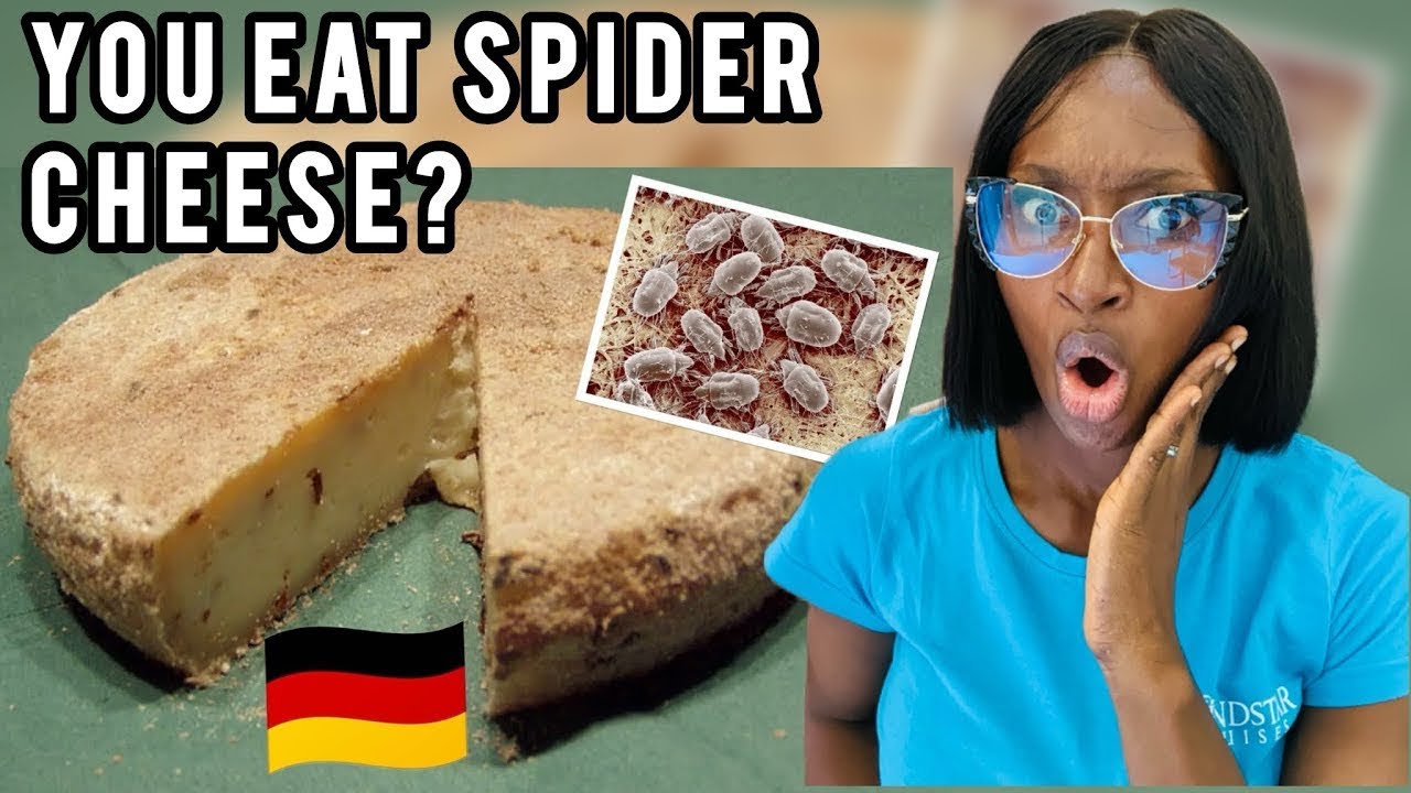 Germans eat Spider Cheese? 🧀 The Rare German Delicacy 🇩🇪 - YouTube
