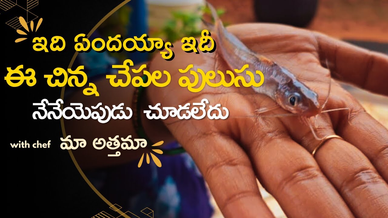 Village Style Chinna Chepala Pulusu Making | Andhra Small Fish Pulusu ...