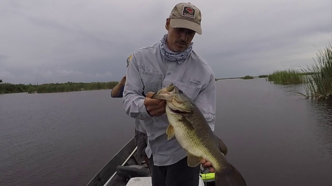 Jon Boat Bass Fishing In The Swamp!! - YouTube
