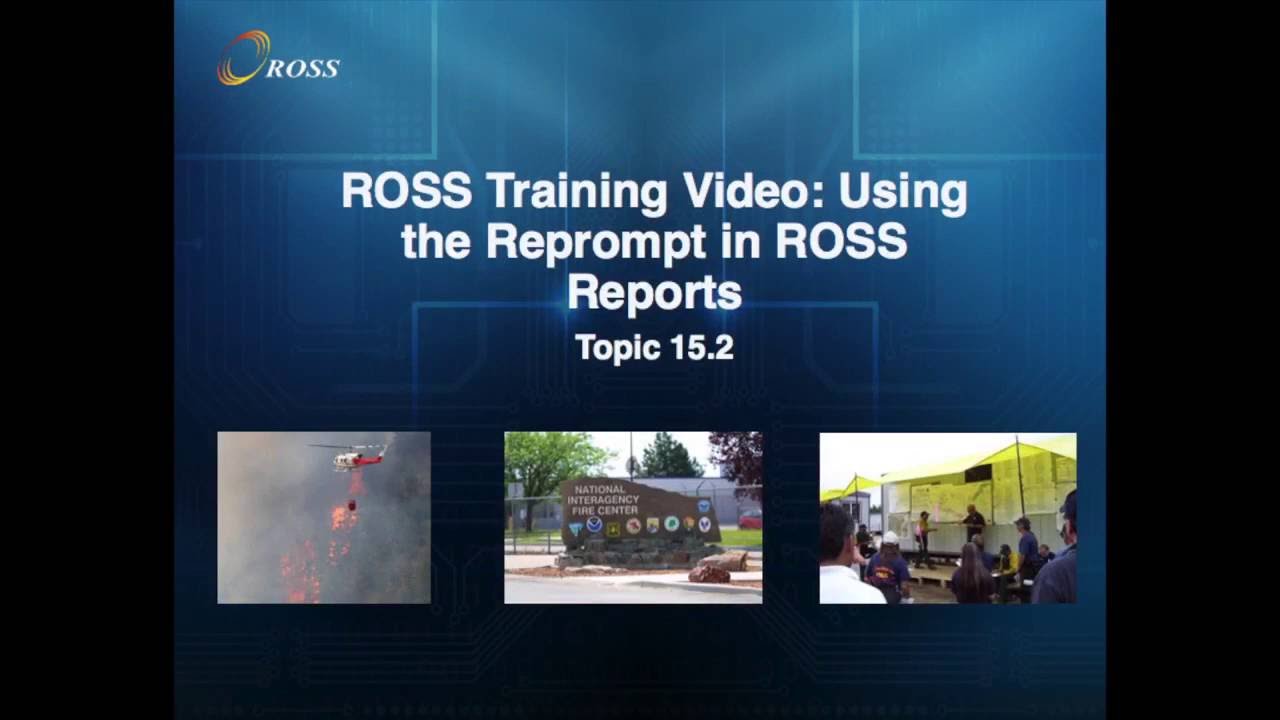 Reports Using the Reprompt - YouTube